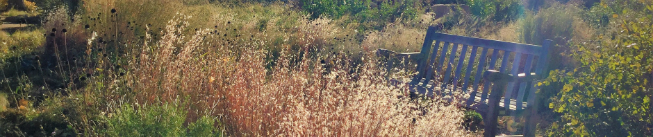 Native Plant Propagation - Wild Ones Front Range Chapter