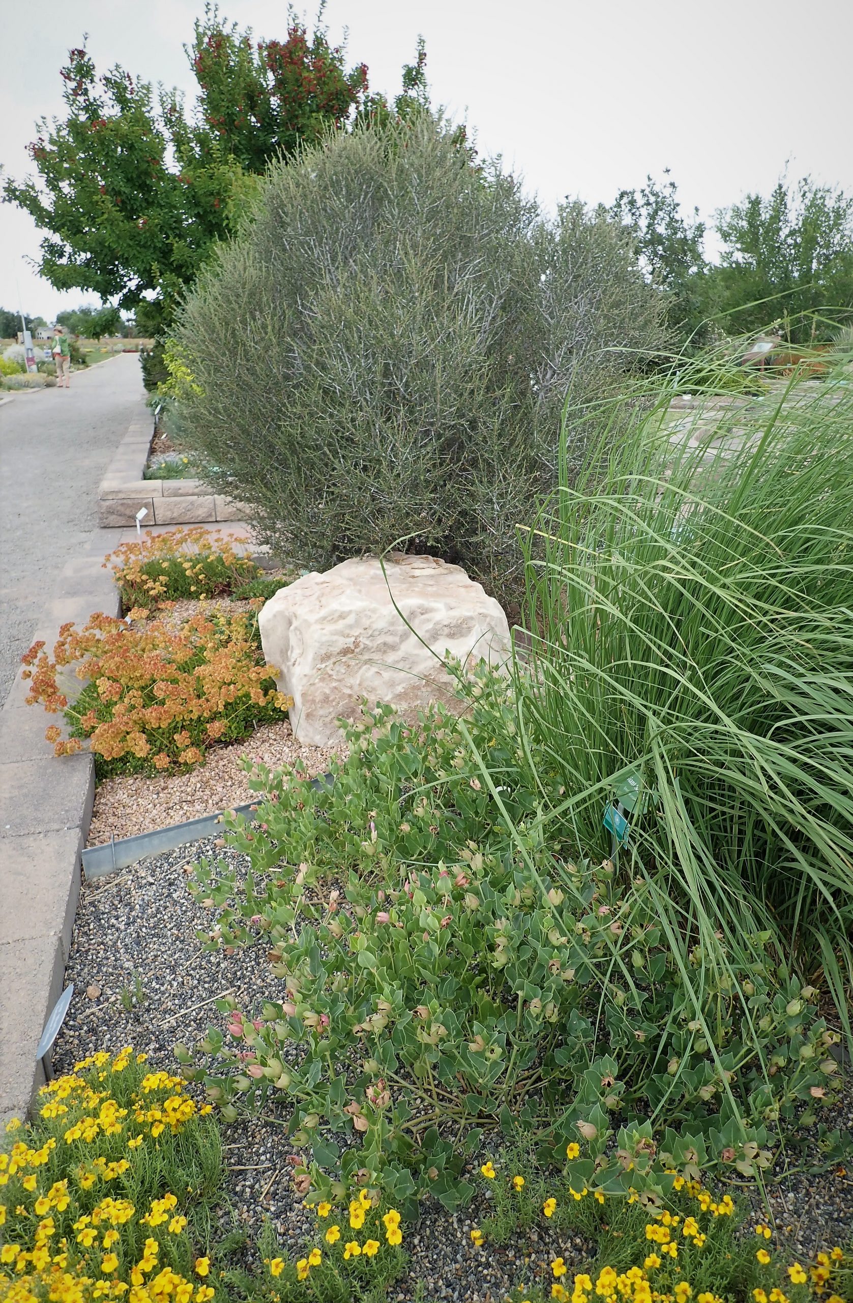 Colorado Native Landscaping Coalition - Wild Ones Front Range Chapter