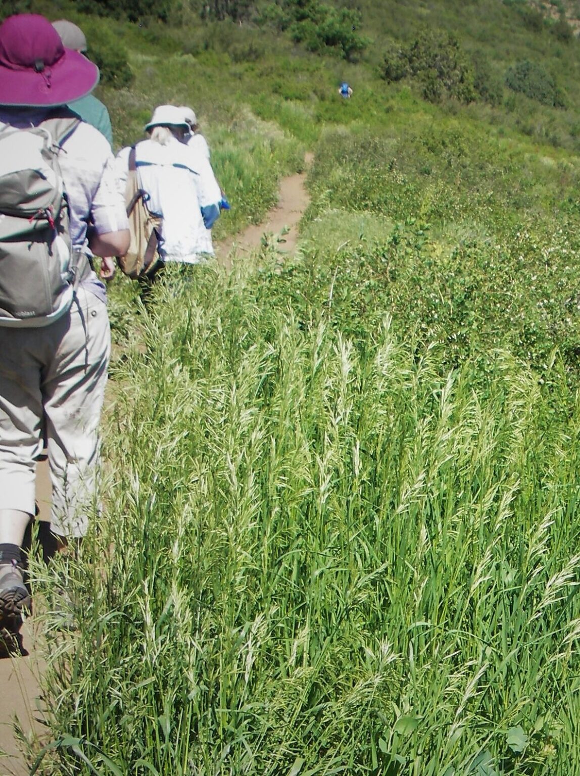 Public Gardens - Wild Ones Front Range Chapter