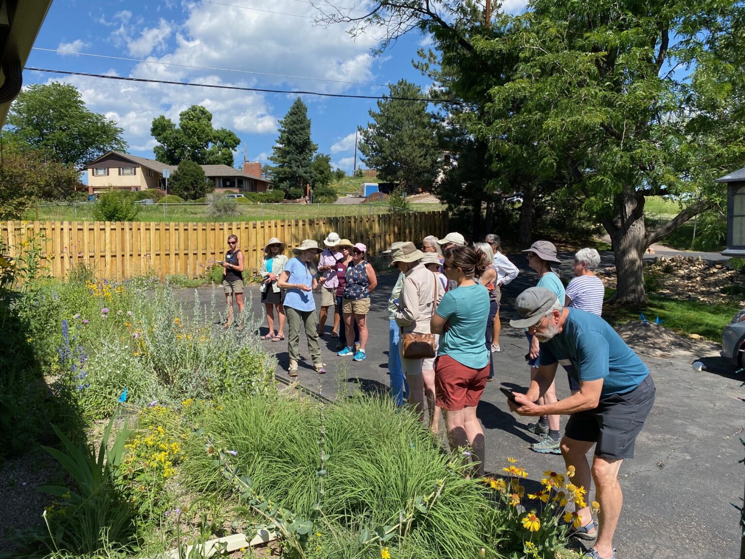 Colorado Native Plant Landscaping | Visit to Jan Midgley's Lakewood ...