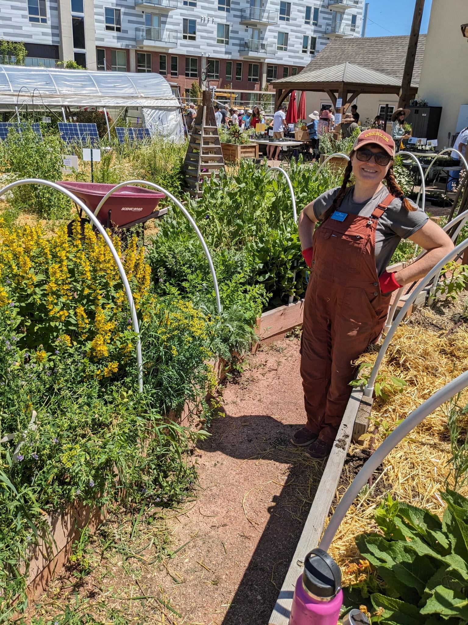 Colorado Native Plants | Denver Native Plant Swap & Giveaway - Wild ...