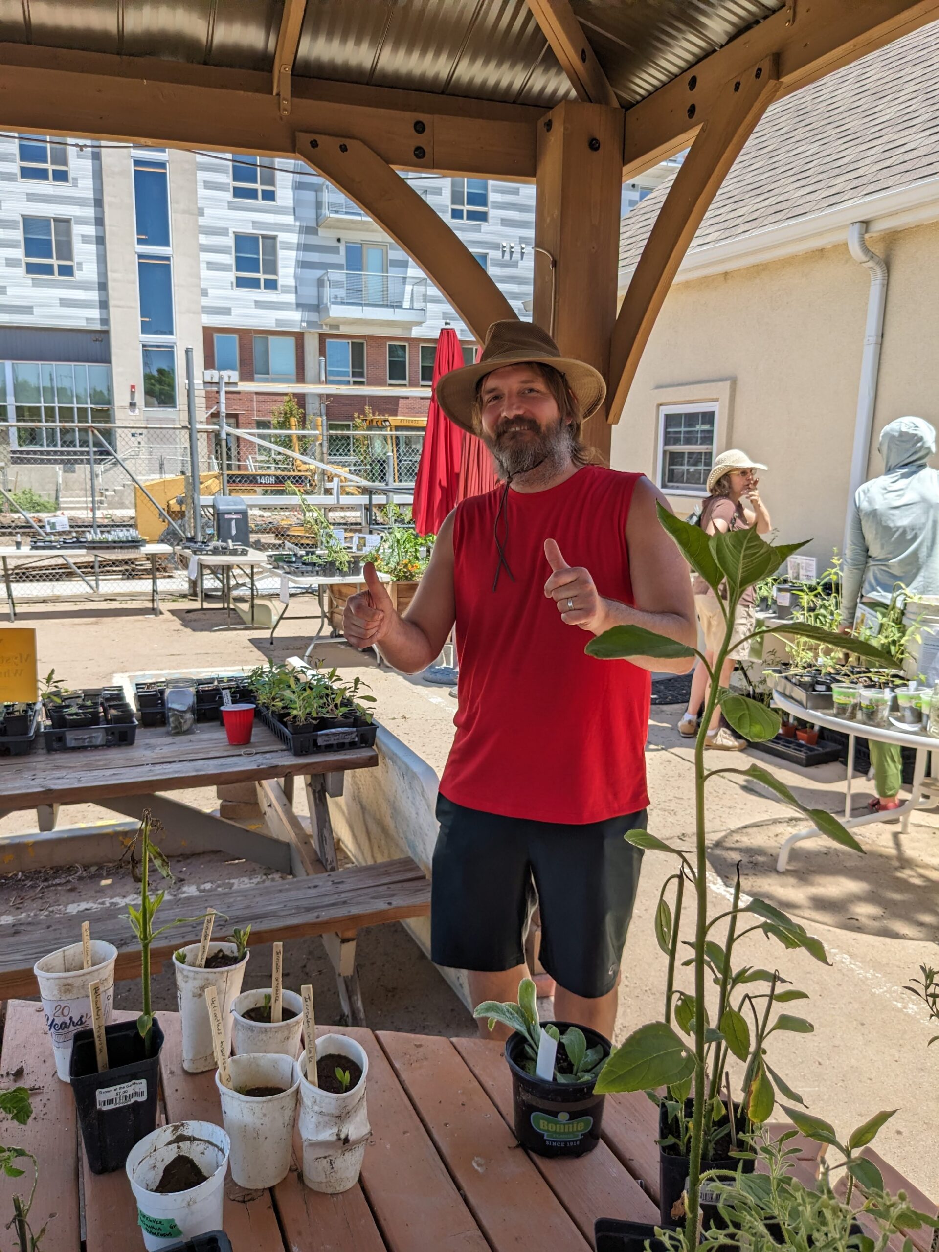 Colorado Native Plants | Denver Native Plant Swap & Giveaway - Wild ...