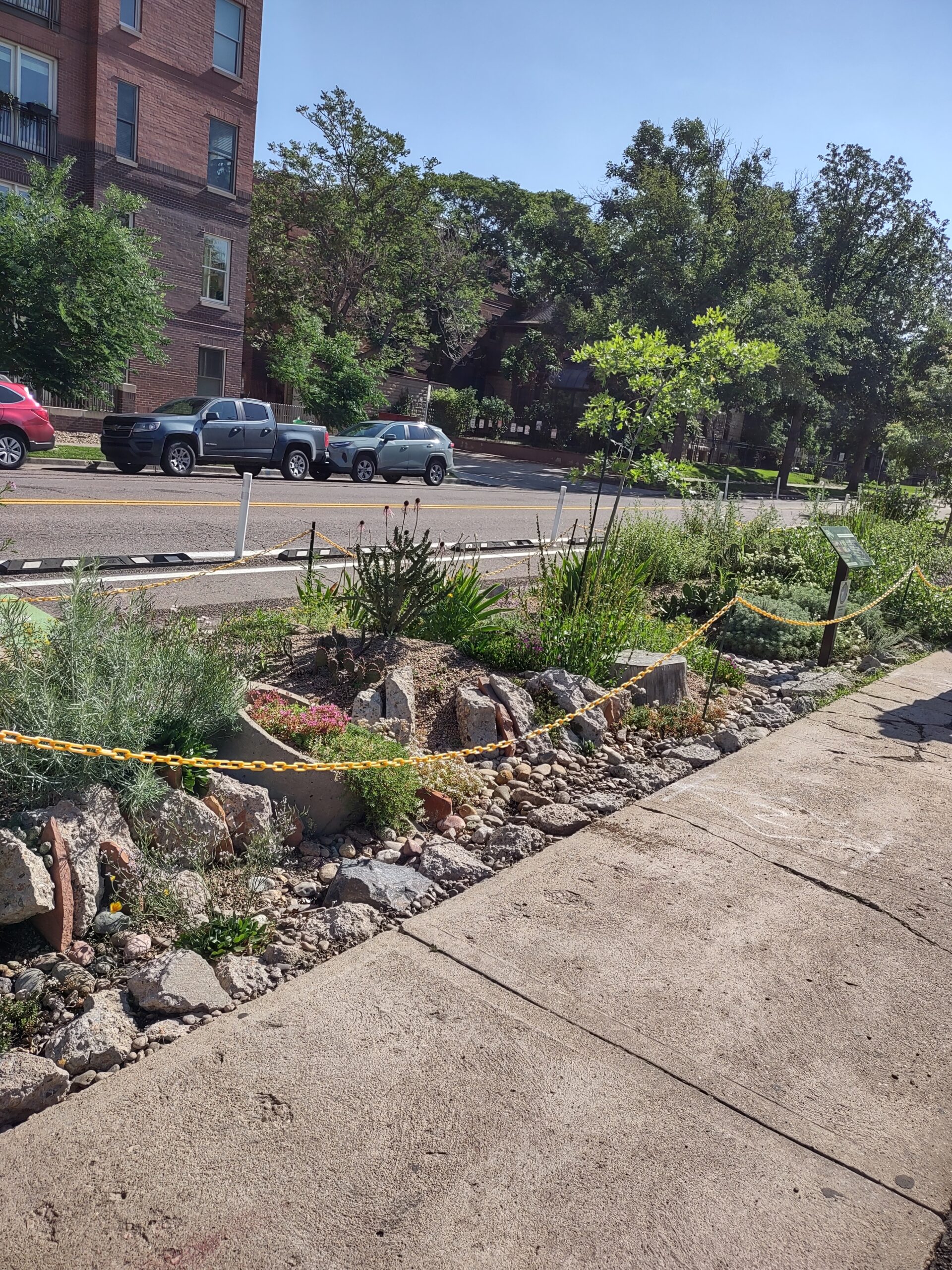 Colorado Native Plant Demonstration Garden | Tour of Denver's ...