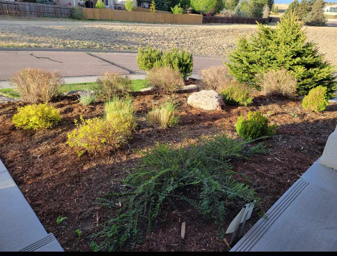 My Coloradoscape DIY Project - Wild Ones Front Range Chapter