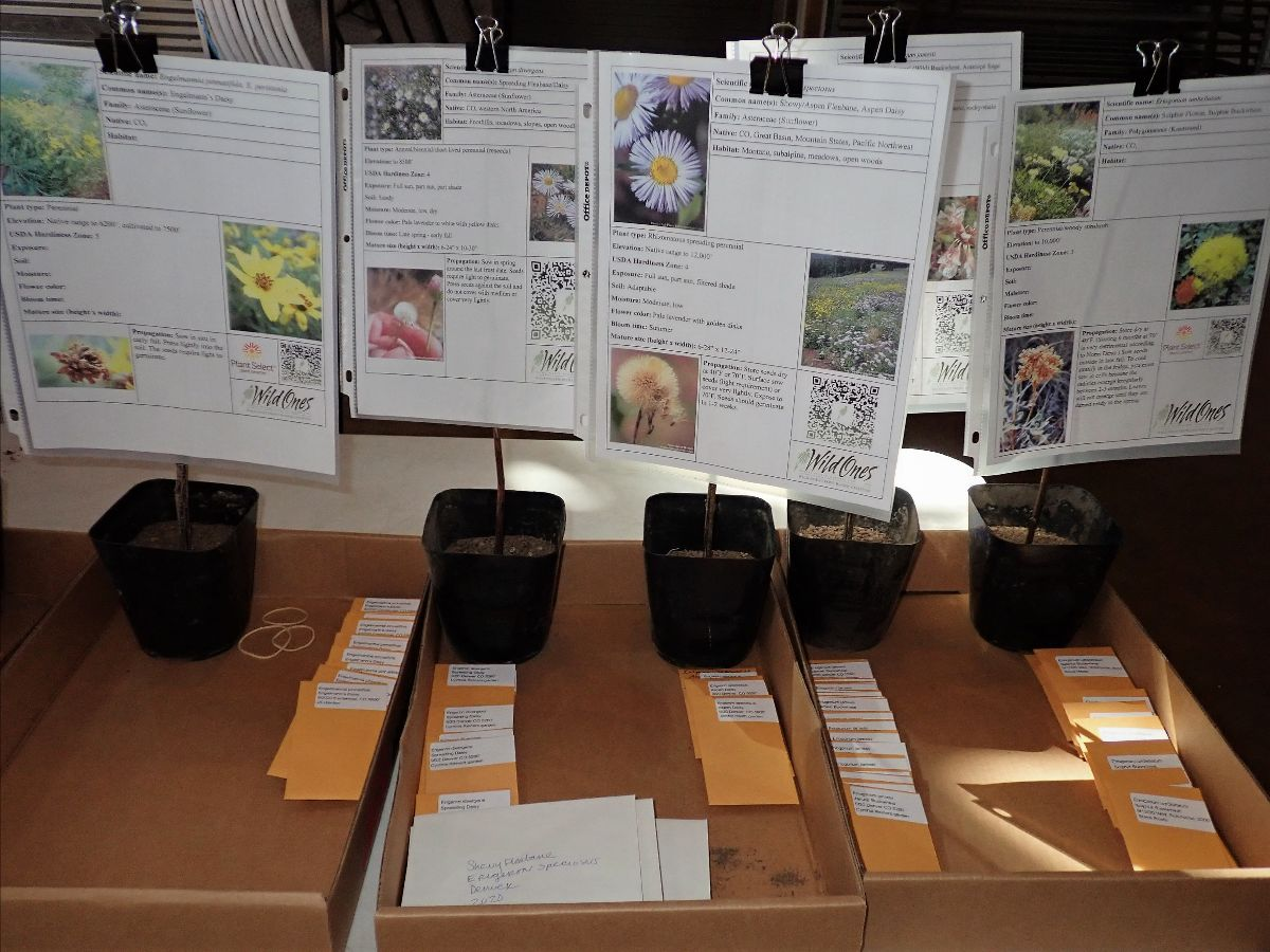 Seed Swaps: Gateways to Native Gardening - Wild Ones Front Range Chapter