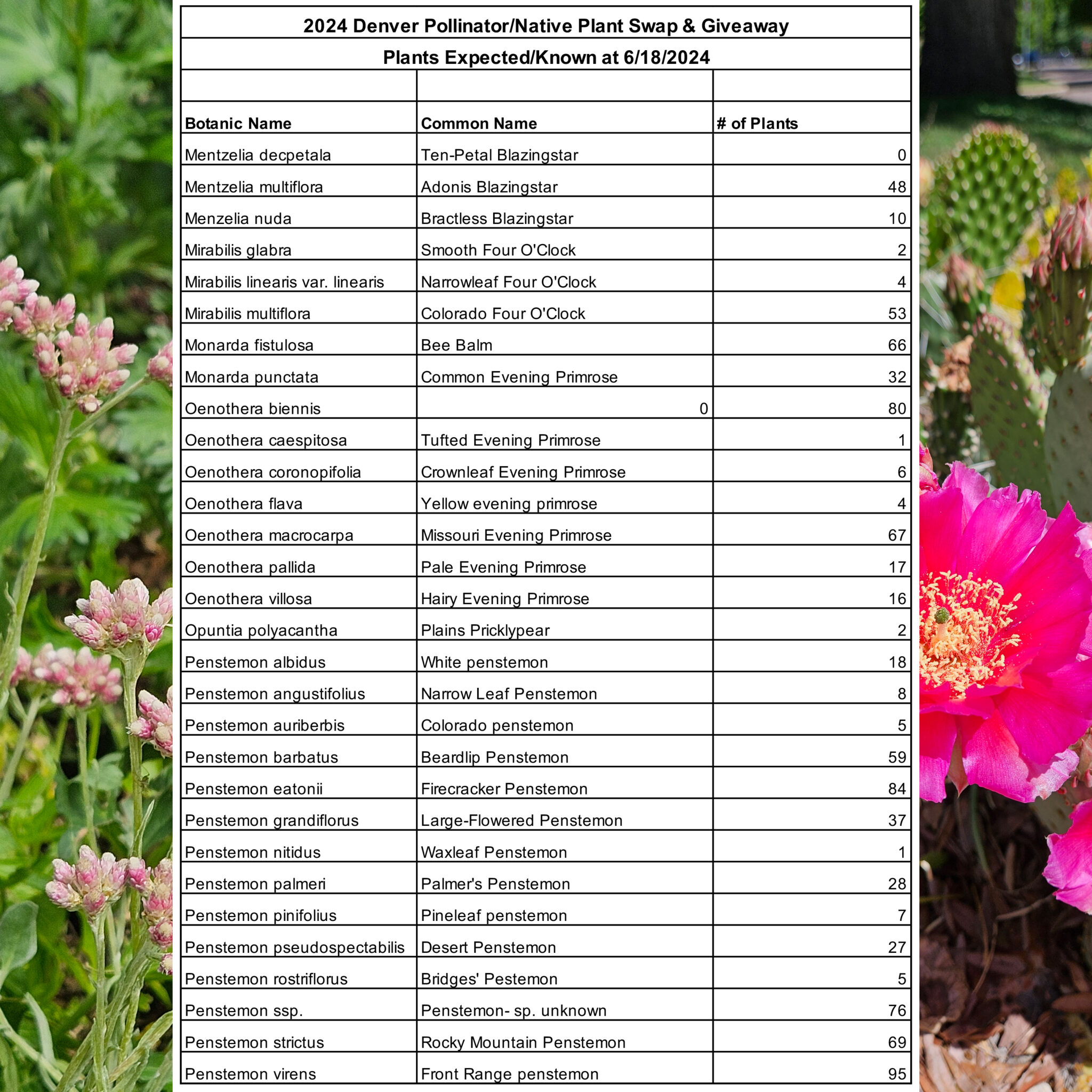 Denver Native Plant Swap 2024 - Wild Ones Front Range Chapter