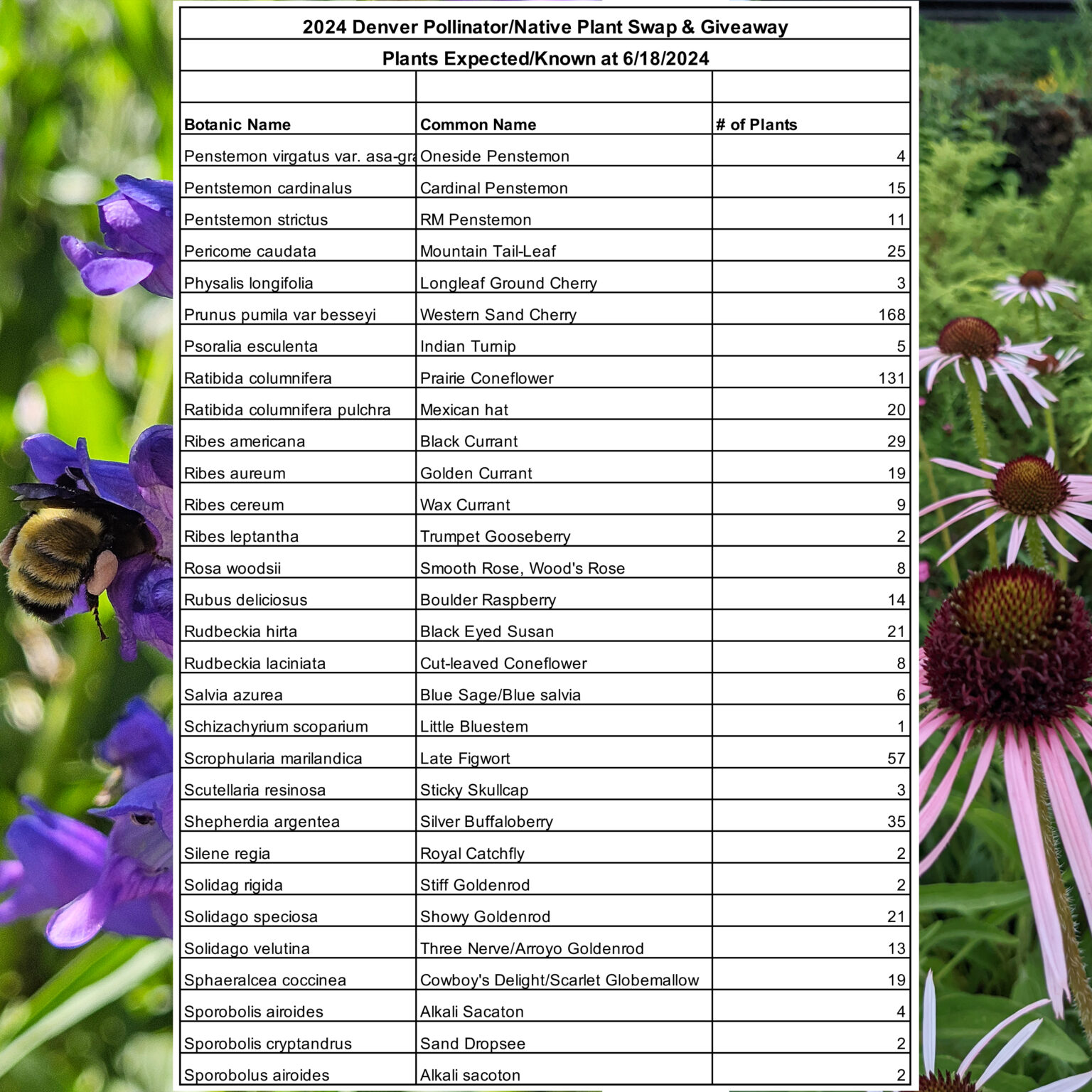 Denver Native Plant Swap 2024 - Wild Ones Front Range Chapter