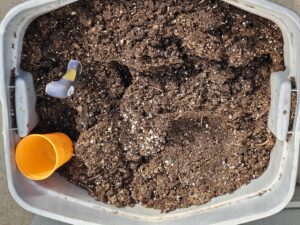 NATIVE PLANT SEED COLLECTION AND GERMINATION - Wild Ones Front Range ...