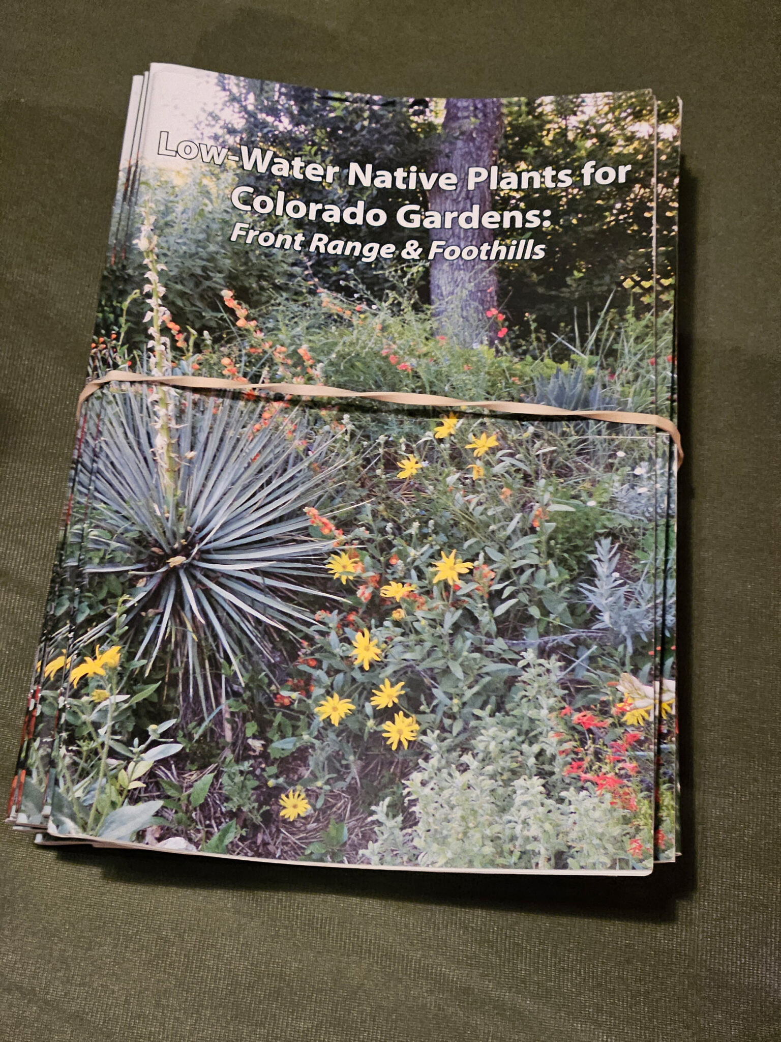 Native Plants Toolkit - Wild Ones Front Range Chapter