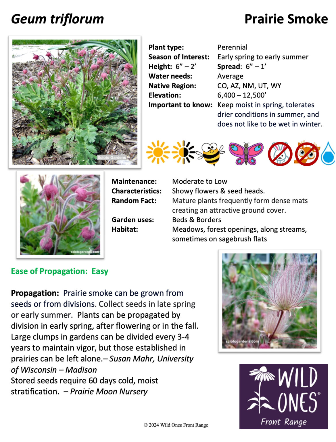 Geum triflorum (Prairie Smoke) - Forb - Native Plant Species Sheet ...